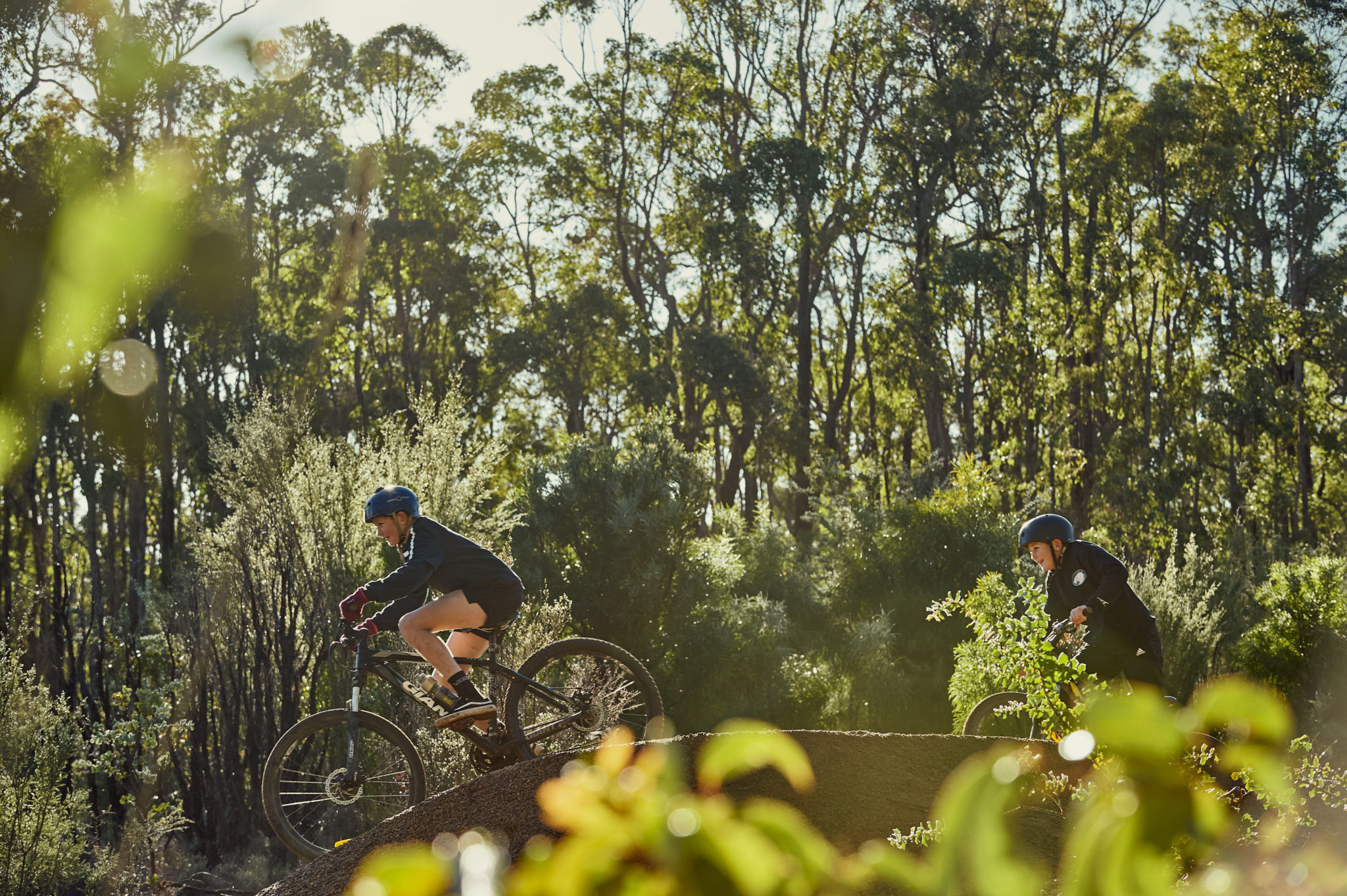 Board - South West Development Commission